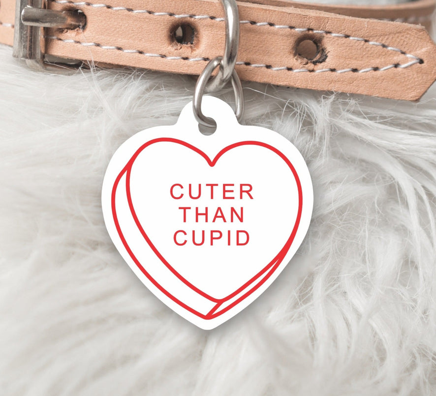 Pup Republic co - Personalised Pet Id tags for Dogs and cats