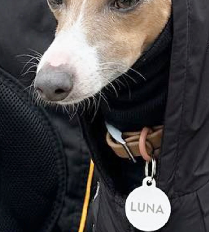 PET ID TAGS – Pup Republic Co