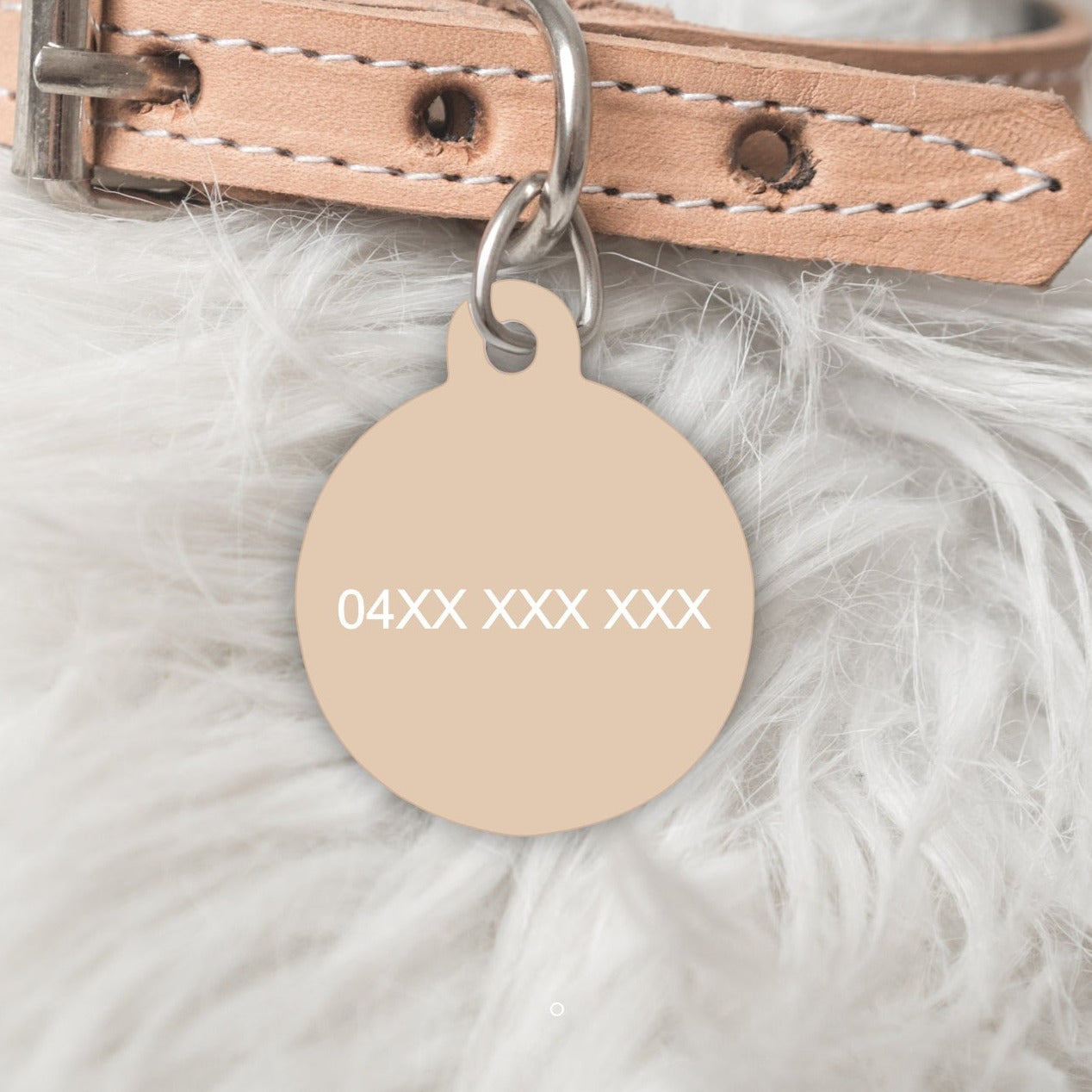 Monogram A-Z Personalised Pet dog or cat ID Tag – Pup Republic Co