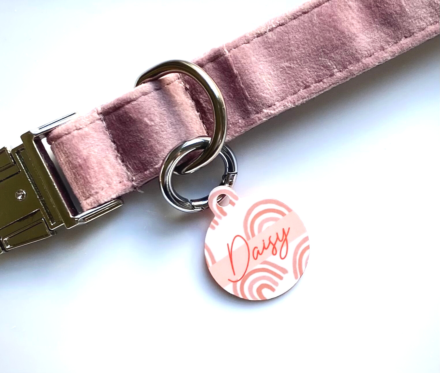 Neutral Rainbow Pet dog or cat ID Tag - Lola – Pup Republic Co