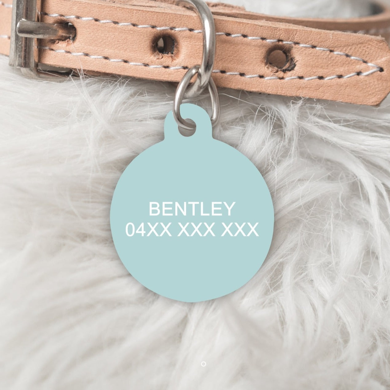 Monogram A-Z Personalised Pet dog or cat ID Tag – Pup Republic Co